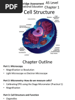 Magnification Calculations and Questions | PDF | Micrograph | Cell ...
