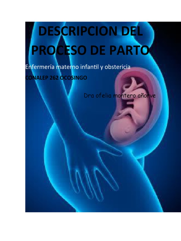 Descripcion Del, Proceso de Parto | PDF | Parto | Pelvis