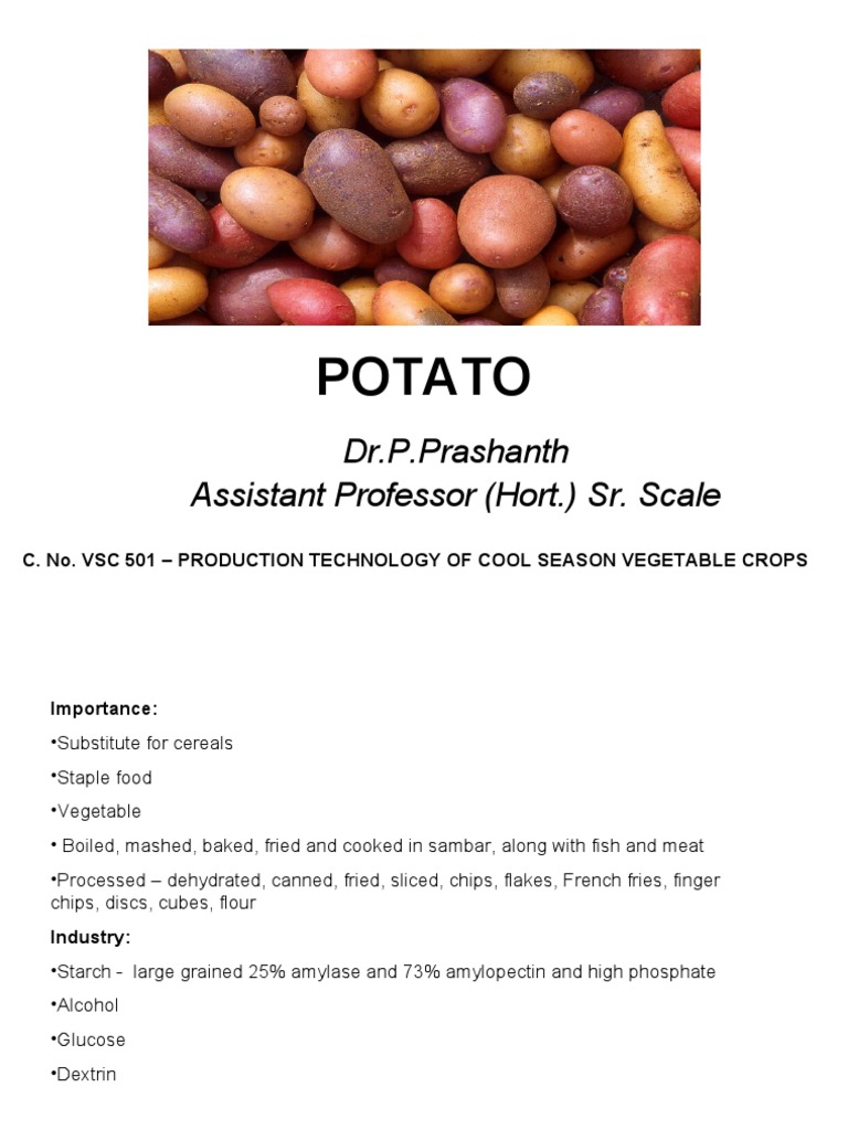 Potato Cultivation Pdf Potato Plants