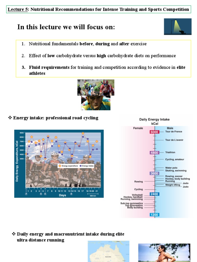 Nutritional Recommendations For Intense Training and Sports Competition ...
