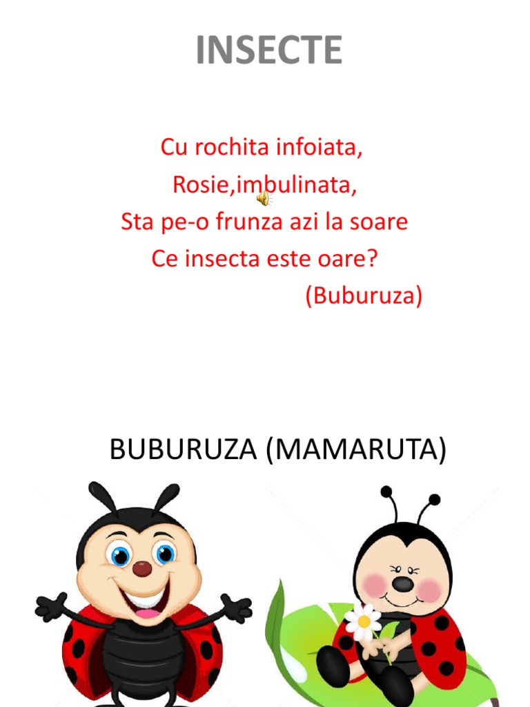ghicitori_despre_insecte_prezentare_ppt | PDF