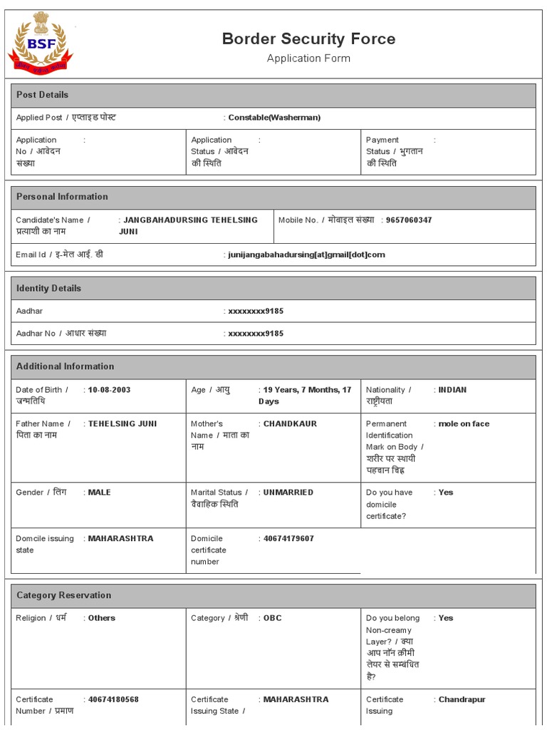 Border Security Force: Application Form | PDF