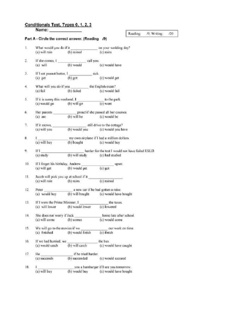 Conditionals Exercises | PDF