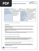 STAR Skin Tear Classification Guide | PDF | Skin | Wound