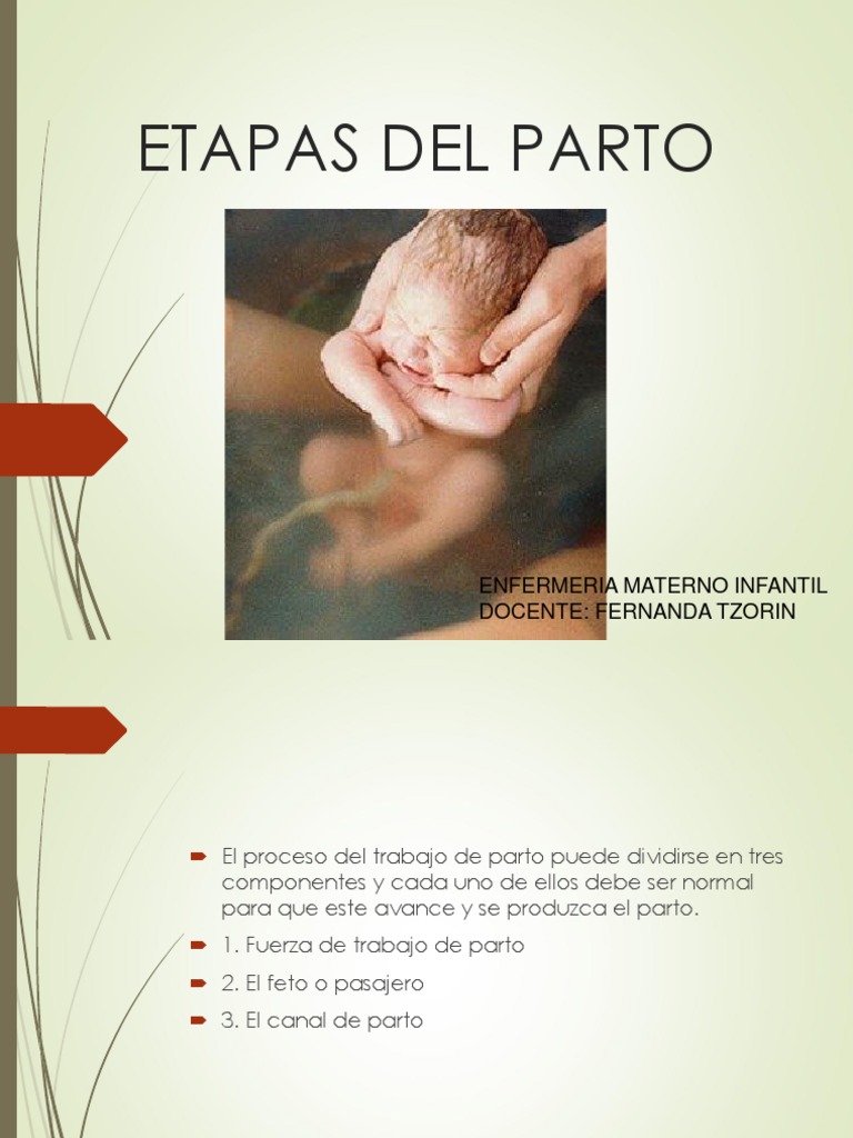 Etapas Del Parto | PDF | Parto | Pelvis