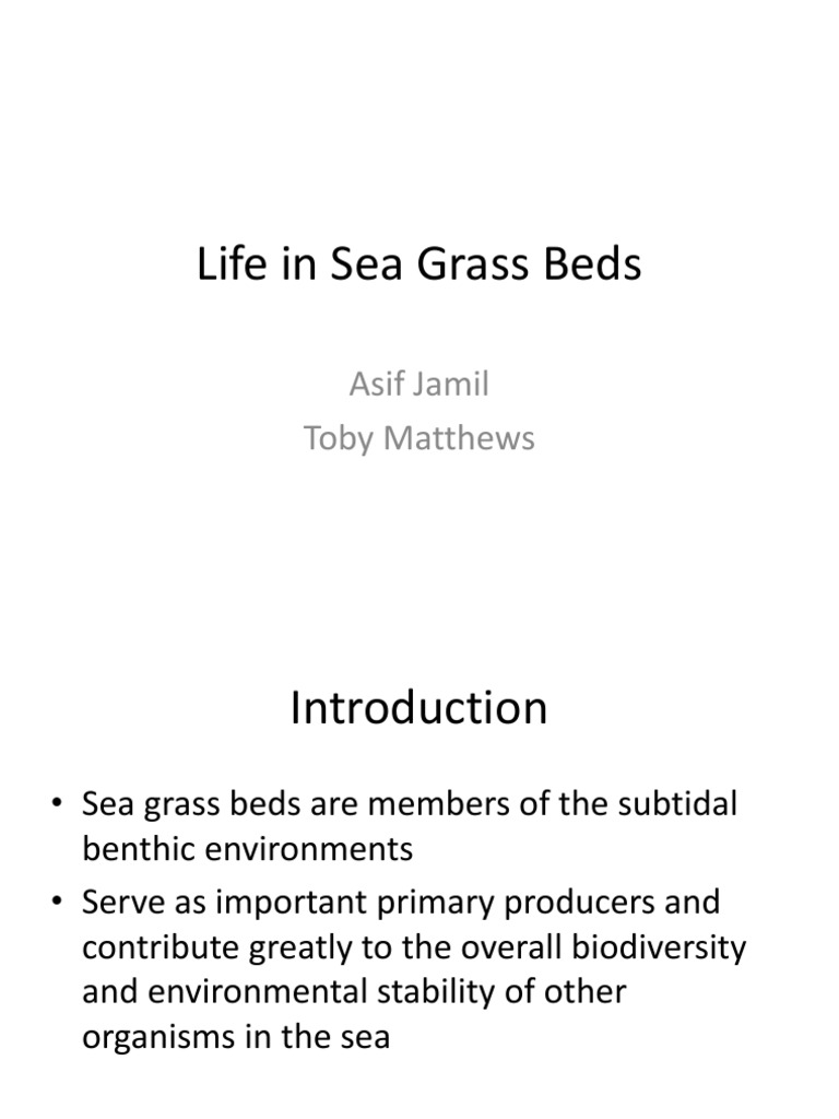 Life in Sea Grass Beds: Asif Jamil Toby Matthews | PDF | Grazing | Sea