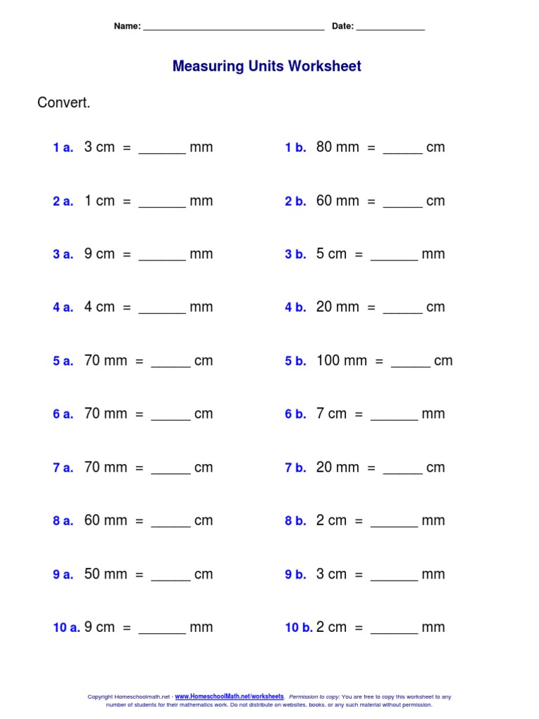 Measurement Units Worksheet | PDF