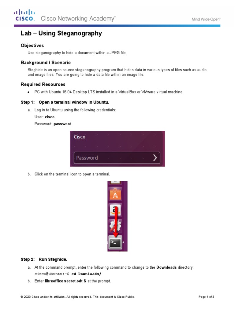 4.3.2.3 Lab - Using Steganography | Download Free PDF | Computer File | Software Engineering