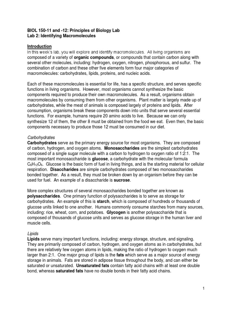 Lab 2 - Identifying Macromolecules | PDF | Dna | Nucleic Acids