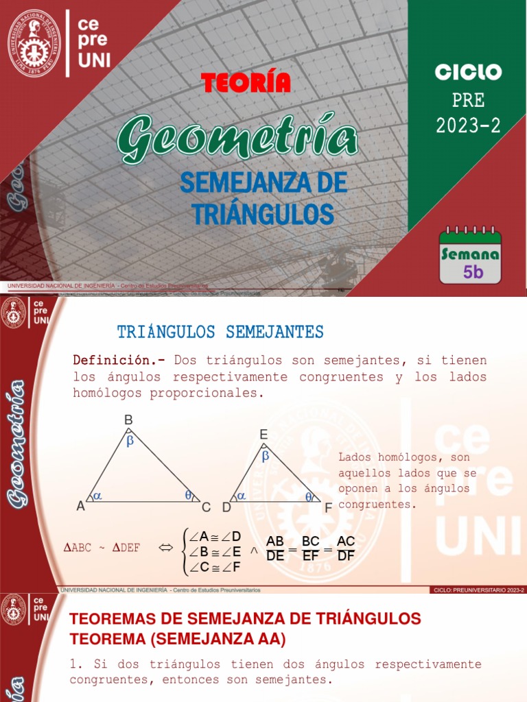Semejanza de Triángulos: Teoría y Teoremas | PDF | Triángulo | Euclides