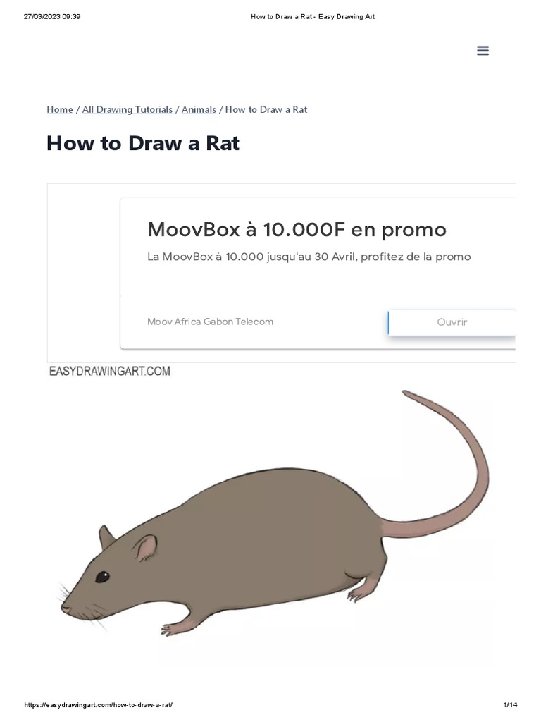 How To Draw A Rat - Easy Drawing Art | PDF | Rat | Claw