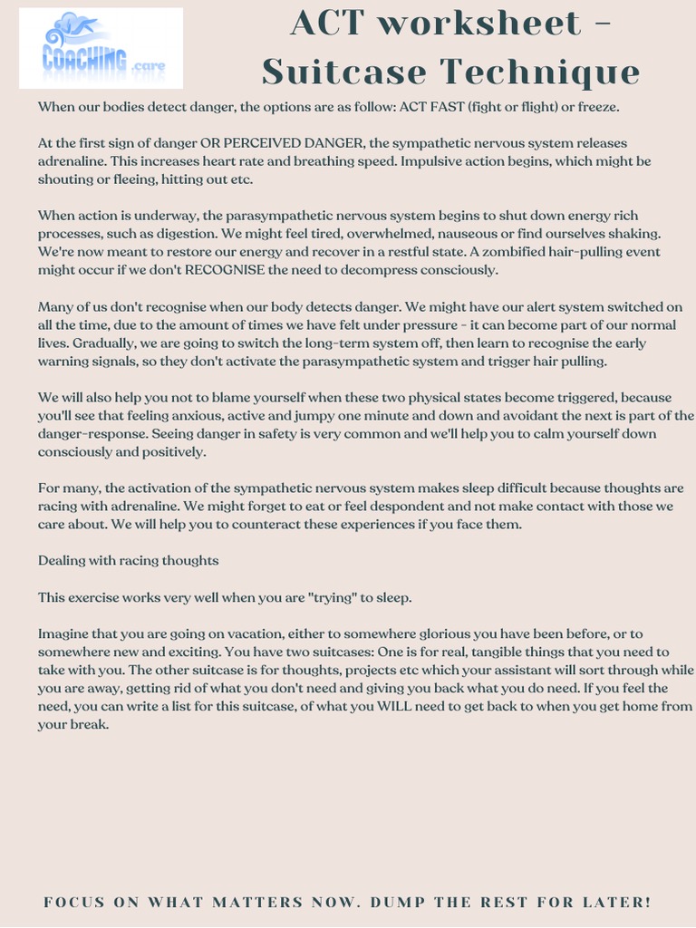 ACT in Daily Life Worksheet | PDF | Fight Or Flight Response