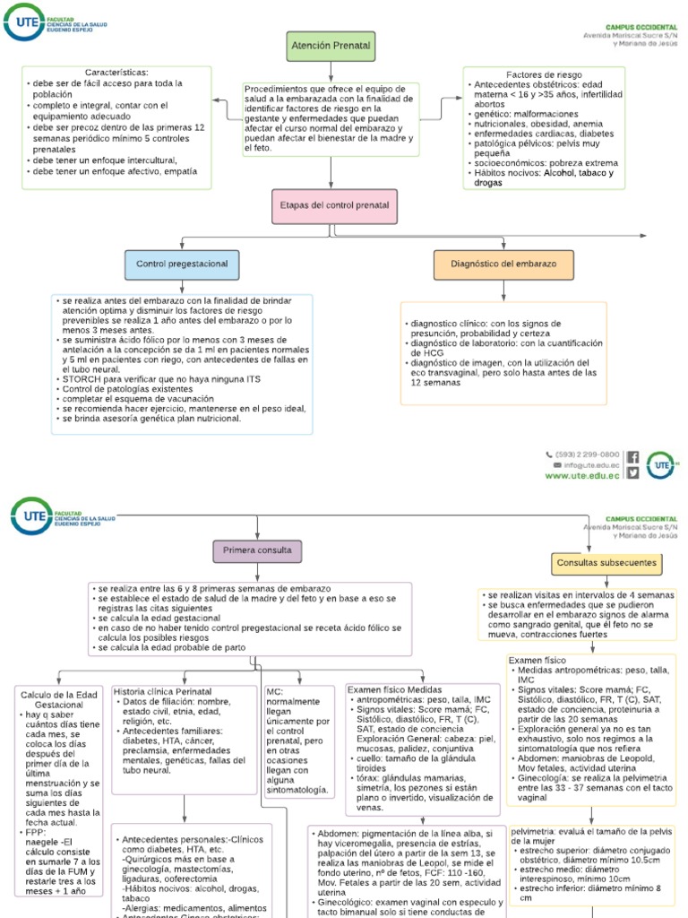 Mapa Control Prenatal | PDF | El embarazo | Feto