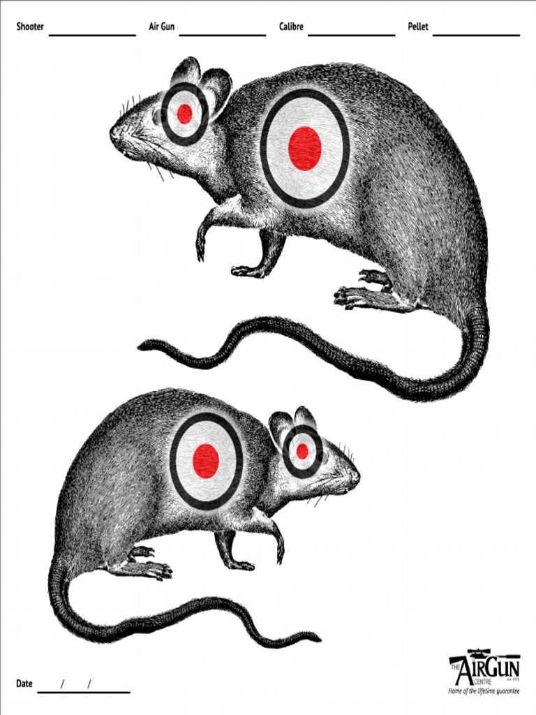 Air Rifle Target Rats 14cm | PDF