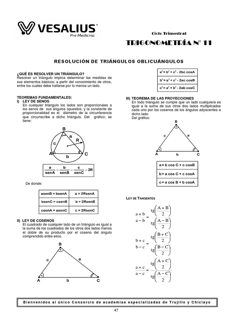 TRIGONOMETRRÍA - Resolución de Triángulos Oblicuángulos | PDF | Triángulo | Funciones ...