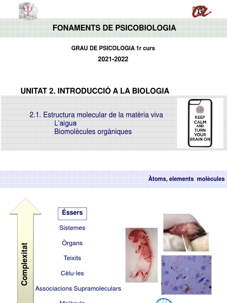Unitat_2_introduccio a la biologia (2022)(I) | PDF