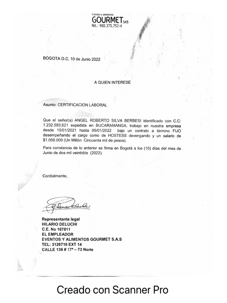 Referencia Laboral | PDF