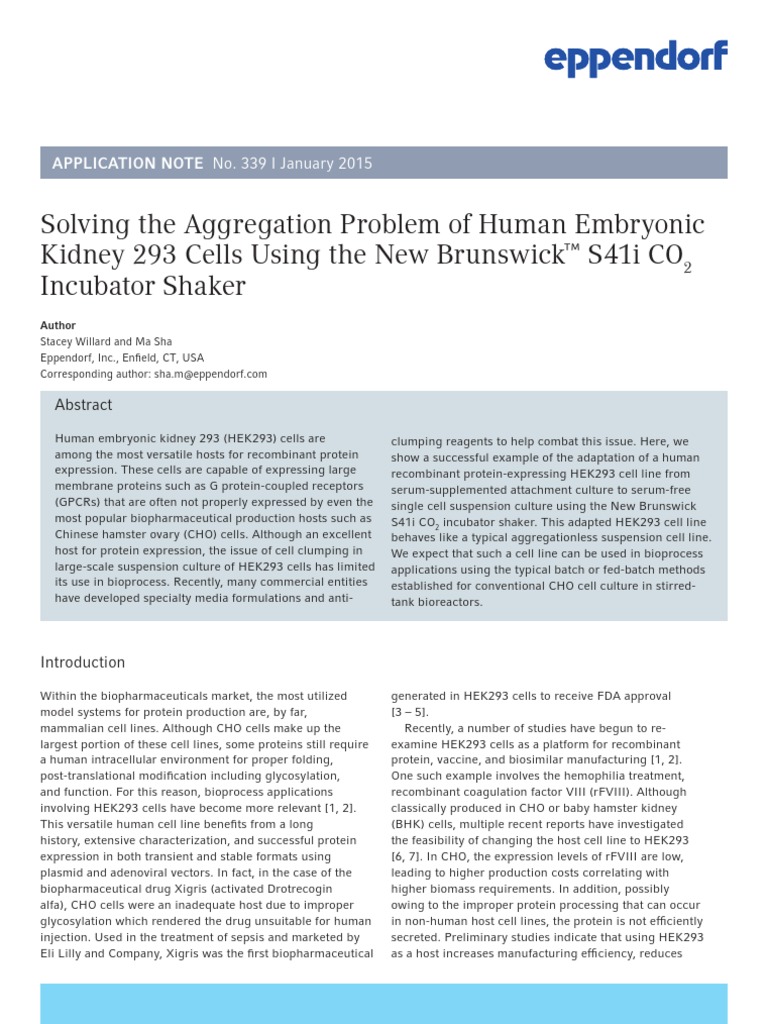 Solving The Aggregation Problem of Human Embryonic Kidney 293 Cells ...