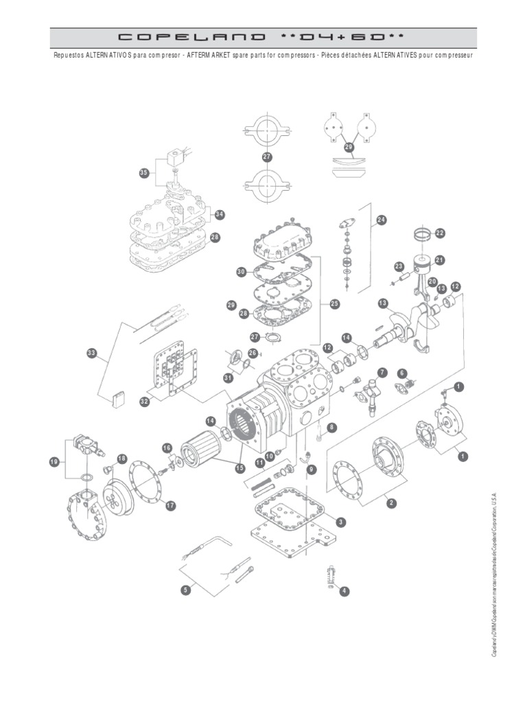 Copeland d46d | PDF | Electromagnetismo | Motores