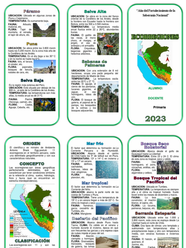 Triptico de Las Ecorregiones Del Perú | PDF | Clima | Clima templado