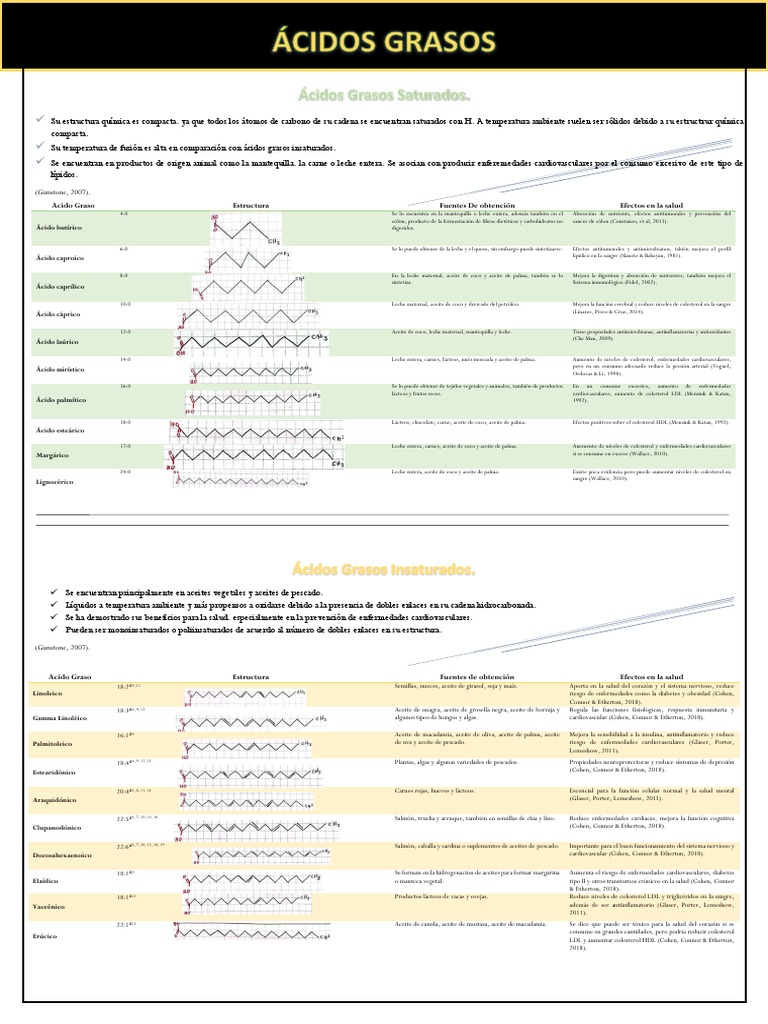Ácidos Grasos-Póster | PDF | Leche | Petróleo