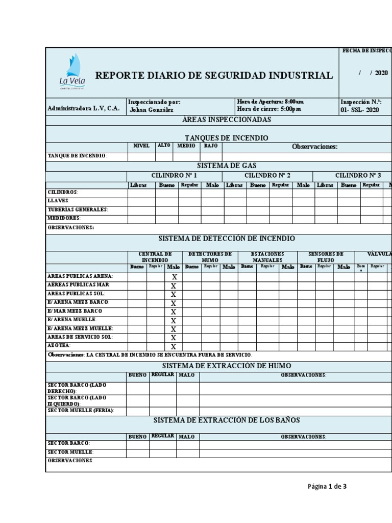 Formato de Reporte Diario | PDF