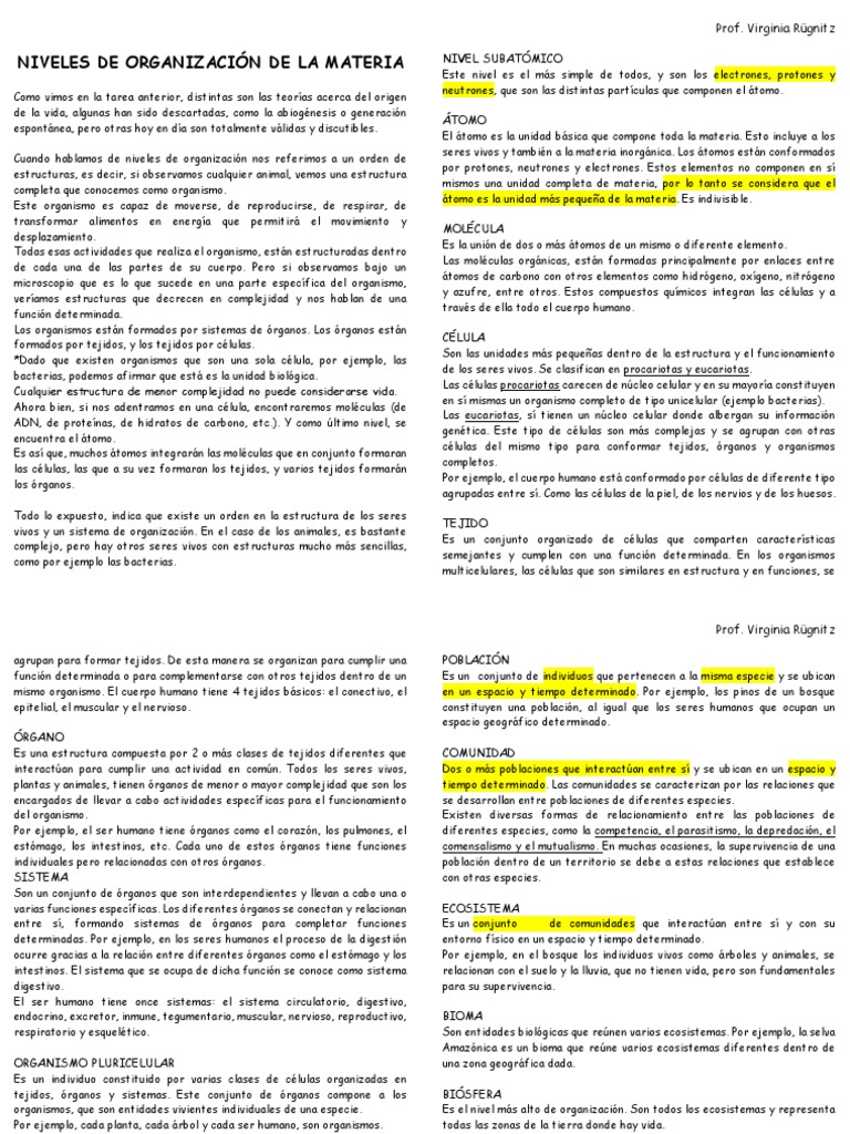 Niveles de Organización de La Materia: Nivel Subatómico | PDF ...
