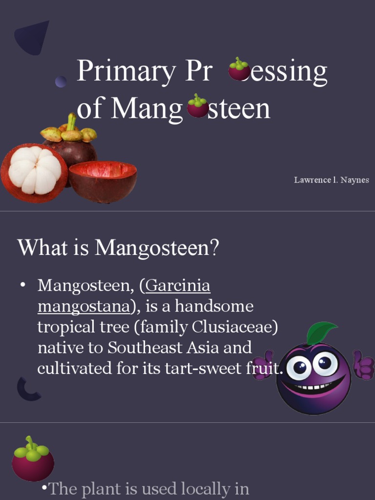 Primary Process | PDF