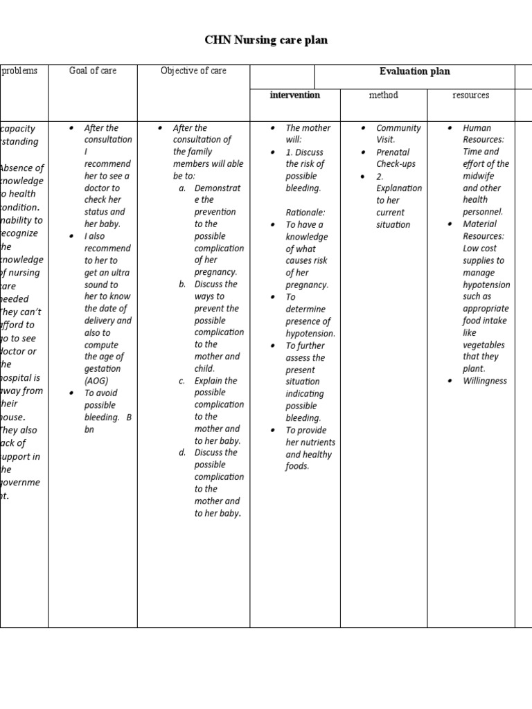 CHN Nursing Care Plan Format v1.5 1 | PDF