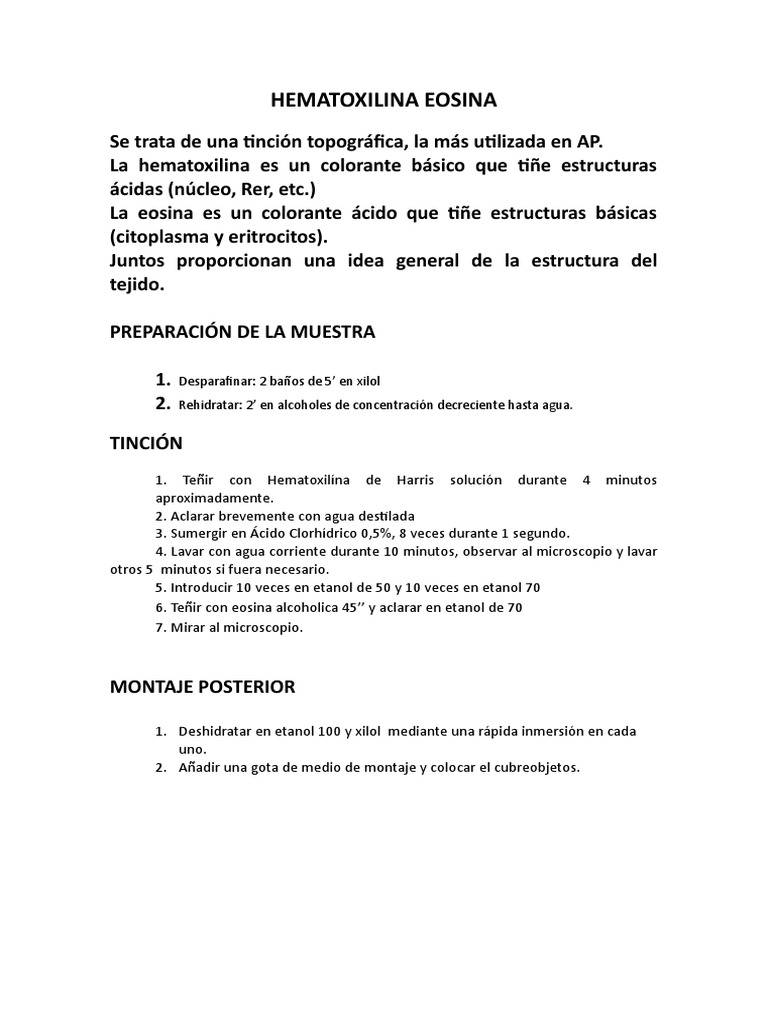 Tinción de Hematoxilina-Eosina: Proceso y Fundamento | PDF