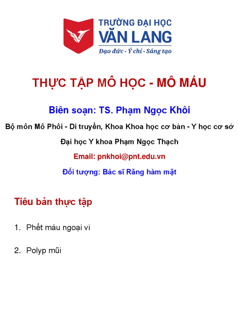 Mô Máu | PDF