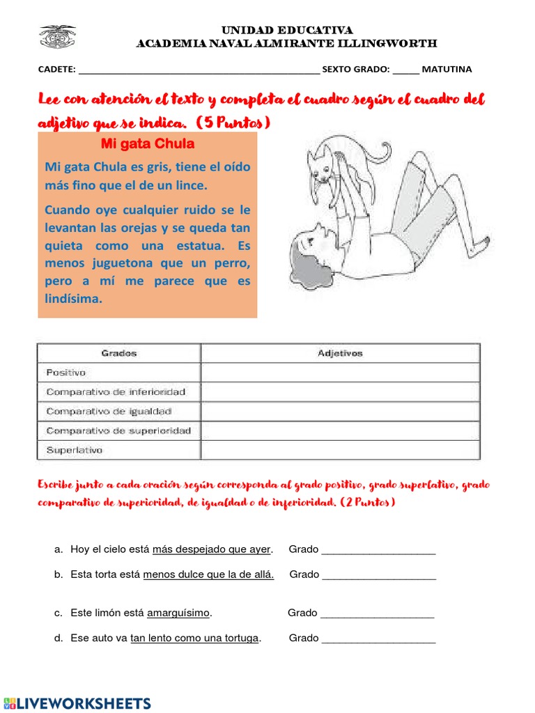 Mi Gata Chula: Lee Con Atención El Texto y Completa El Cuadro Según El ...