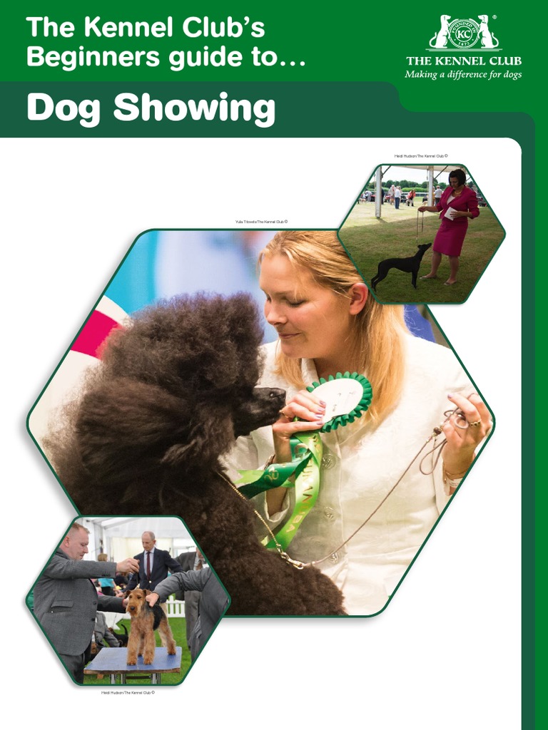 Beginners Guide To Dog Showing | PDF | Dog Breeds | Subspecies Of Canis ...