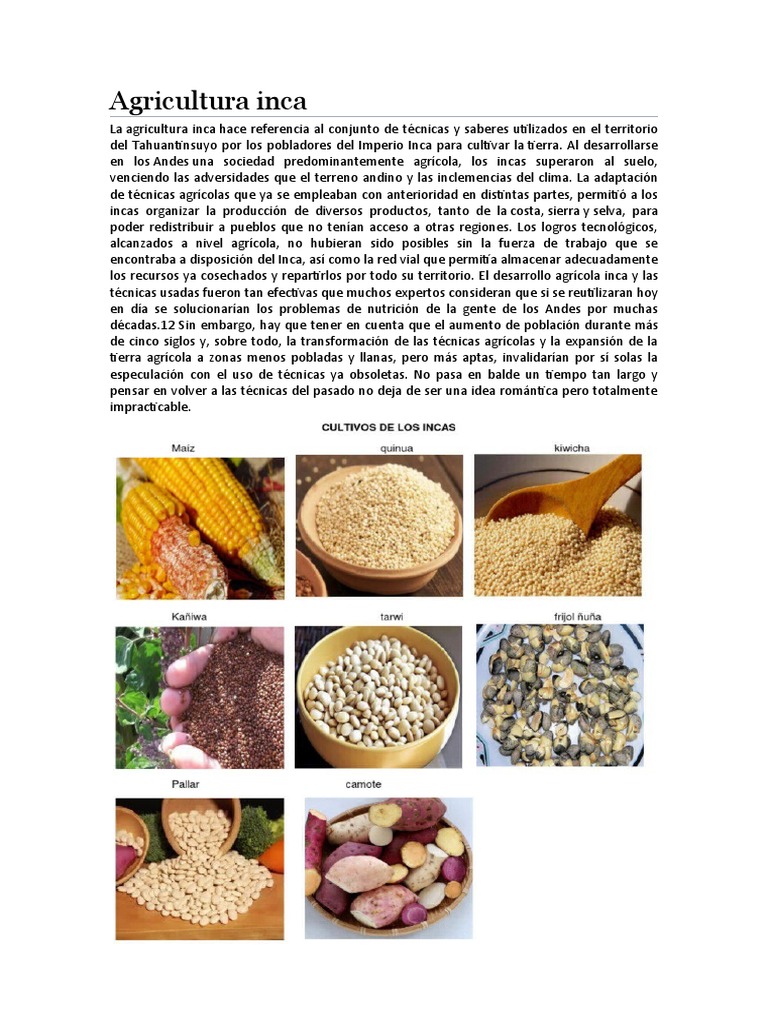Agricultura Inca | PDF