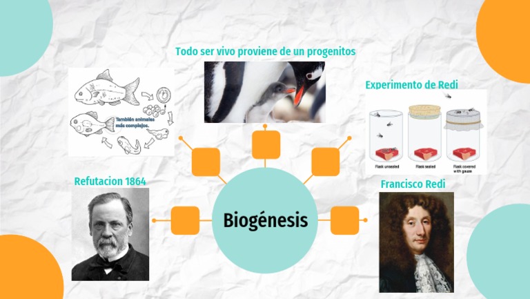 Mapa Mental Biogenesis | PDF