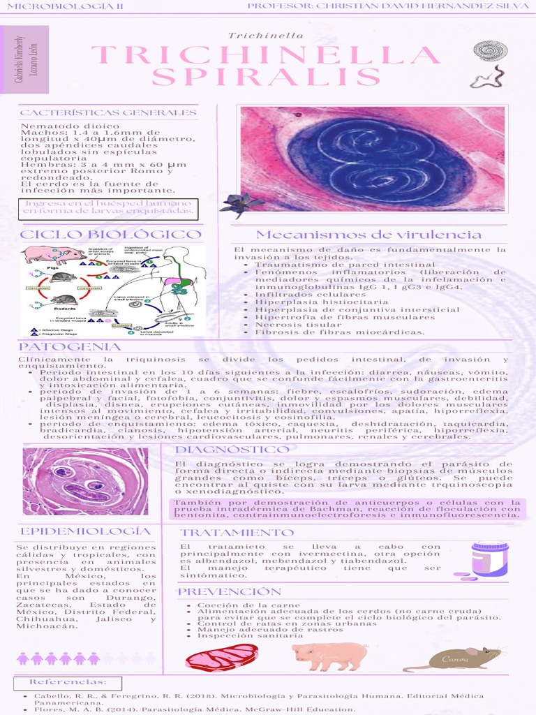 Trichinella spiralis: Diagnóstico y Tratamiento | PDF | Especialidades ...