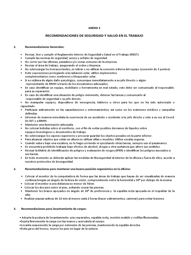 Anexo 1-Recomendaciones de Seguridad y Salud en El Trabajo-Resumido ...