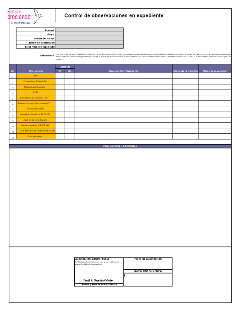 Control de Observaciones en Expediente de Crédito Bel | PDF