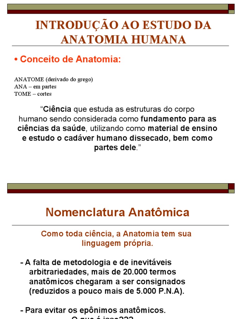 Introdução Aos Fundamentos Da Anatomia Humana Pdf