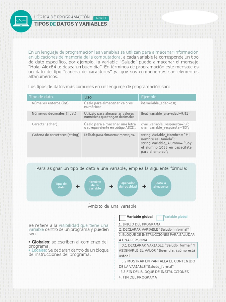 Infografía 2 Tipos de Datos y Variables | PDF | Tipo de datos | Variable (informática)