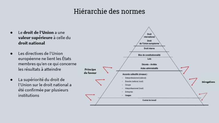 La Hiérarchie Des Normes Dans L'union Européenne | PDF