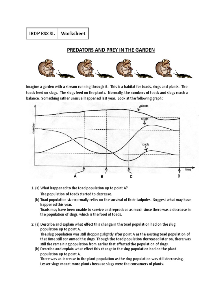 Predator - Prey - Worksheet Answers | Download Free PDF | Plants | Organisms