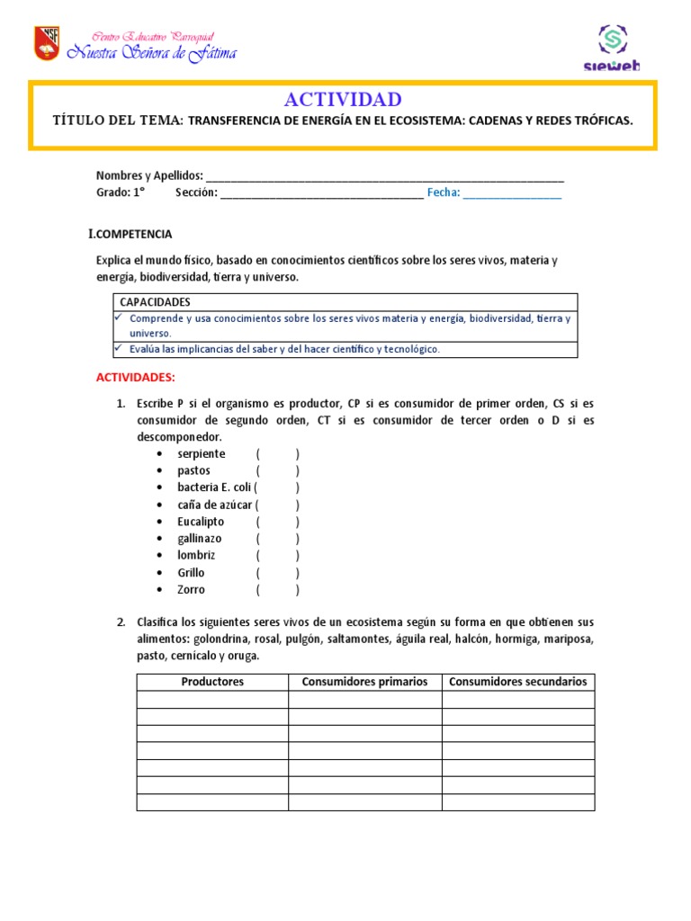 Transferencia de Energia | PDF | Ecología | Naturaleza