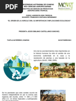 Sistema de Roza y Quema Maya | PDF | México | Agricultura