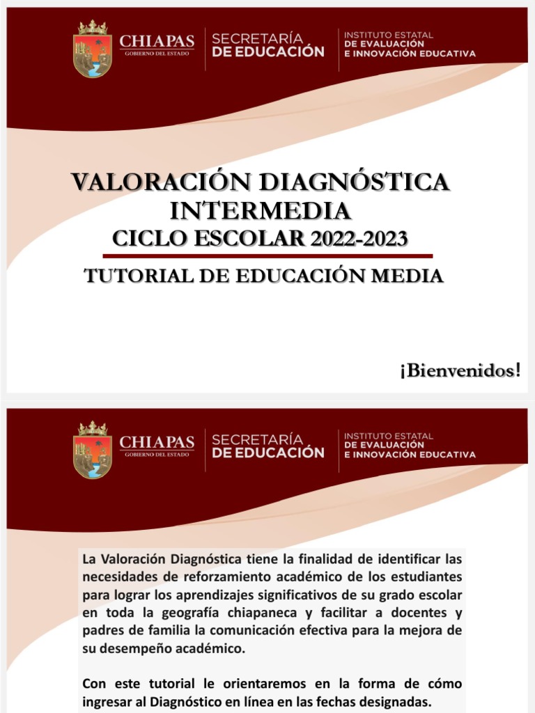 4 Tutorial para El Diagnóstico Intermedio 2223 - Media | PDF | Informática
