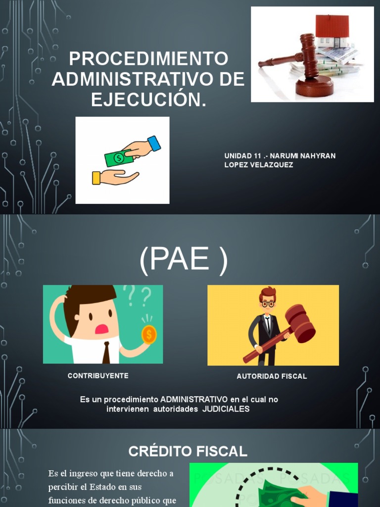 Procedimiento Administrativo de Ejecución | PDF | Subasta | Pagos