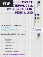 Antibiotic Chart-Infectious Disease Bug Drug Table-2019 | PDF | Medical ...