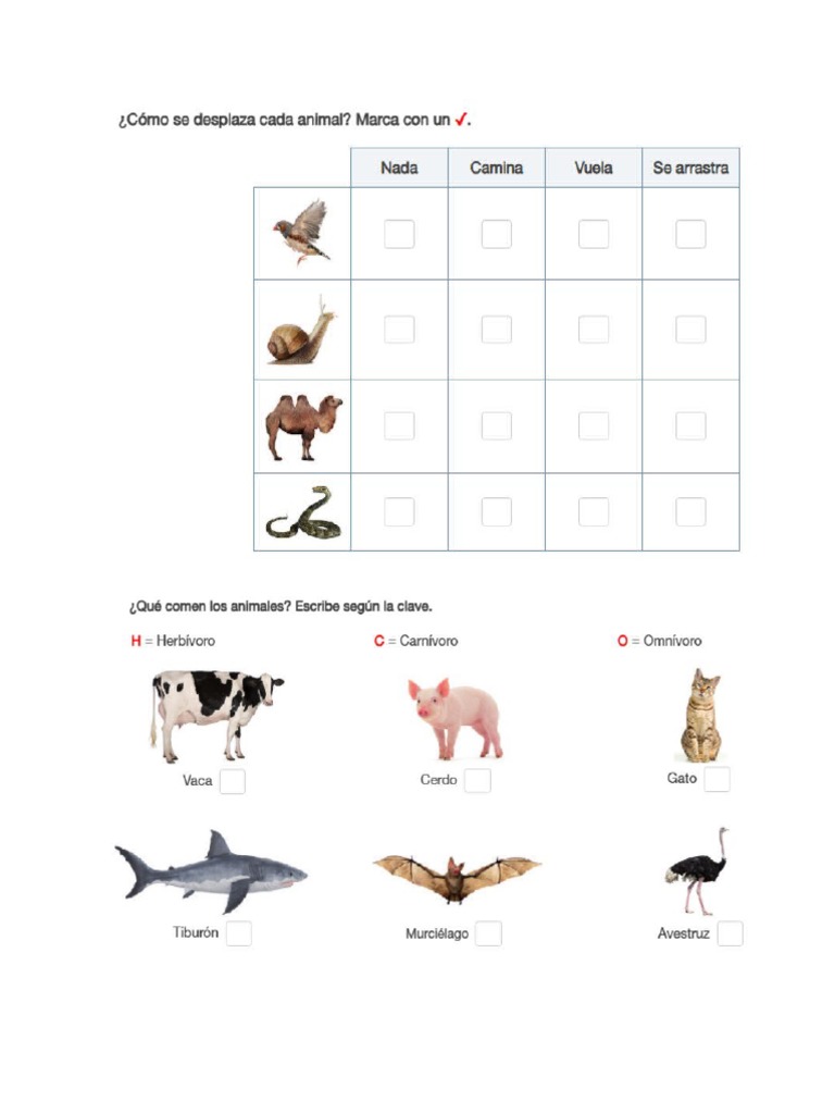 Guía Seres Vivos 24 Al 28 Abril | PDF