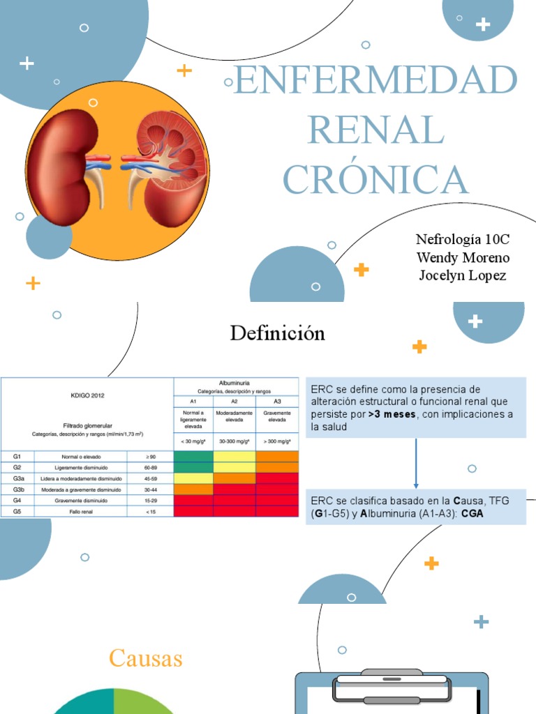 Enfermedad Renal Crónica KDIGO | PDF | Diabetes | Hipoglucemia