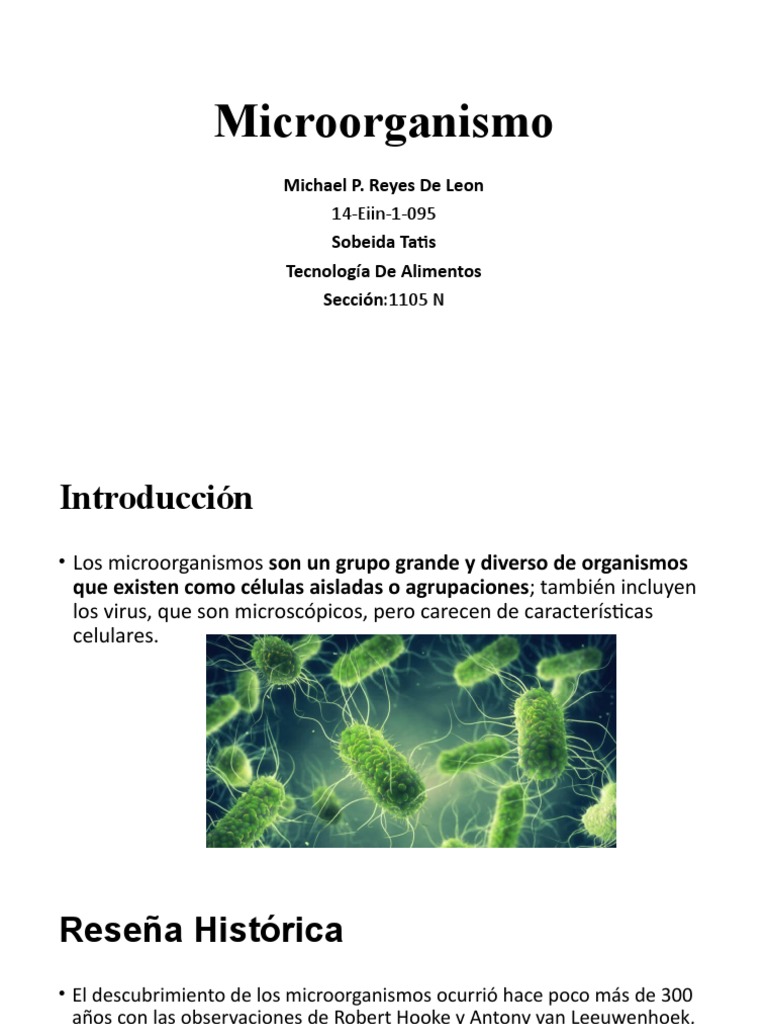 Clasificación de Microorganismos Básicos | PDF | Microorganismo | Las ...